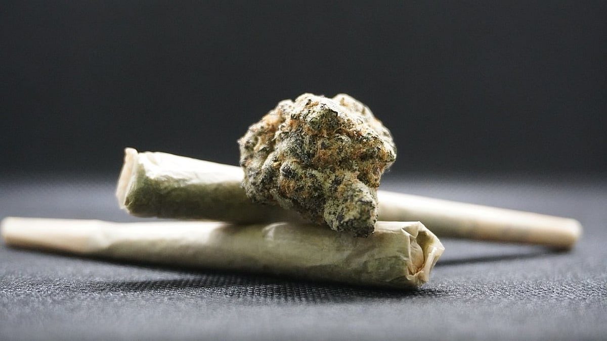 Could America's Divide On Marijuana Be Coming To An End?