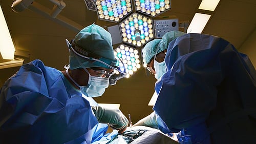 Tumor Removed From 21-Year-Old Parrot In Rare Surgical Procedure In ...