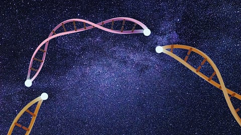 CRISPR-Cas13: A New Frontier in RNA-Editing