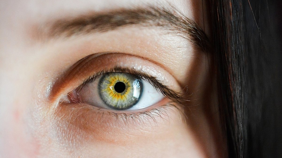 Meet Veronica Seider: The Woman with Superhuman Eyesight