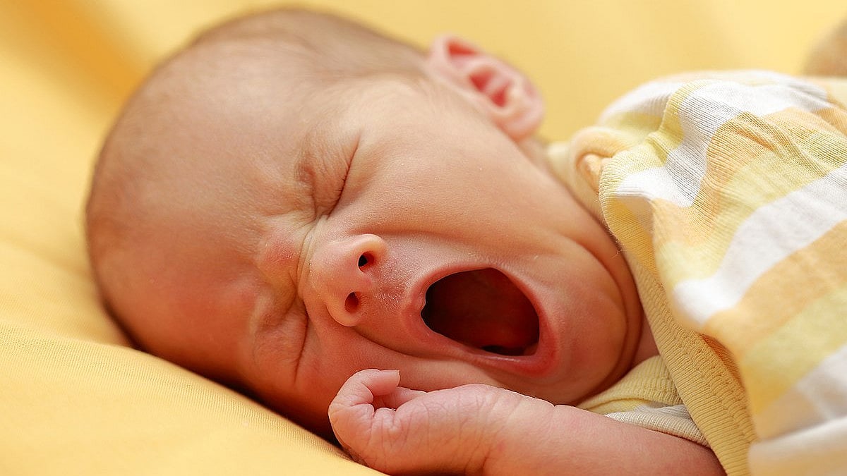 Beyond Species: Uncovering the Fascinating Science of Yawning