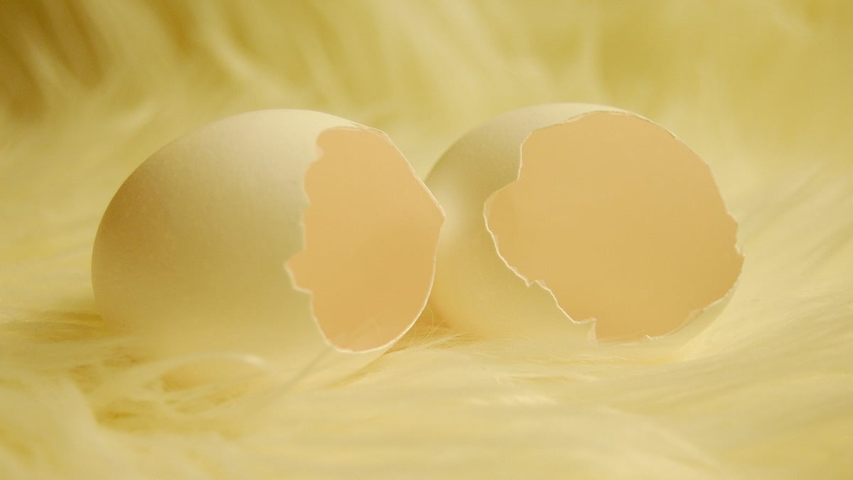 The Journey of Toothpaste: From Ancient Egypt to Modern Oral Care—A ...