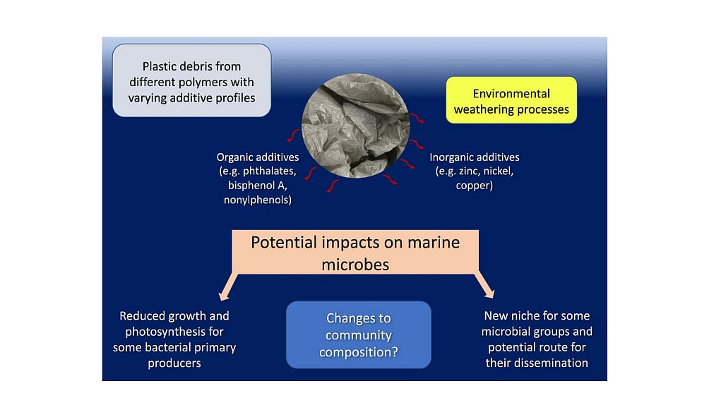 Plastic-Eating Bacteria: The Future of Tackling Plastic Pollution