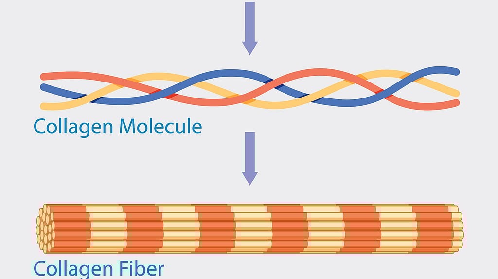 Glue in Dentistry. Its Role in Periodontics
