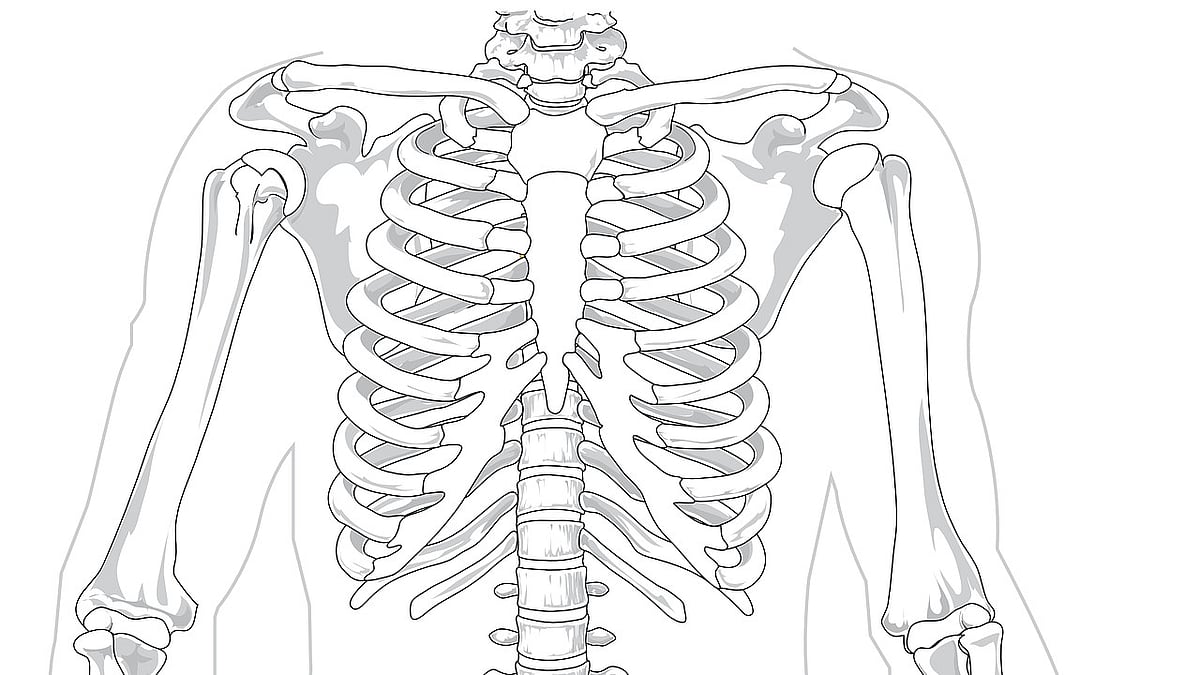 US Trans Woman Turns Removed Ribs into Crown, Sparks Online Debate