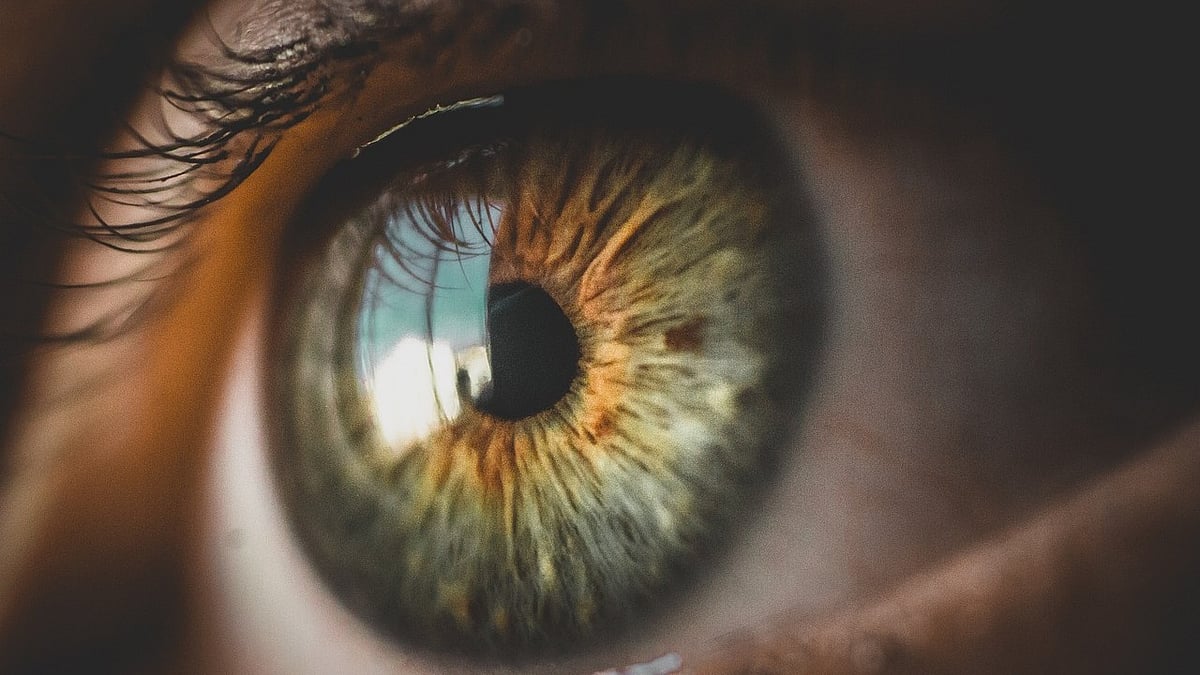 Meet Veronica Seider: The Woman with Superhuman Eyesight