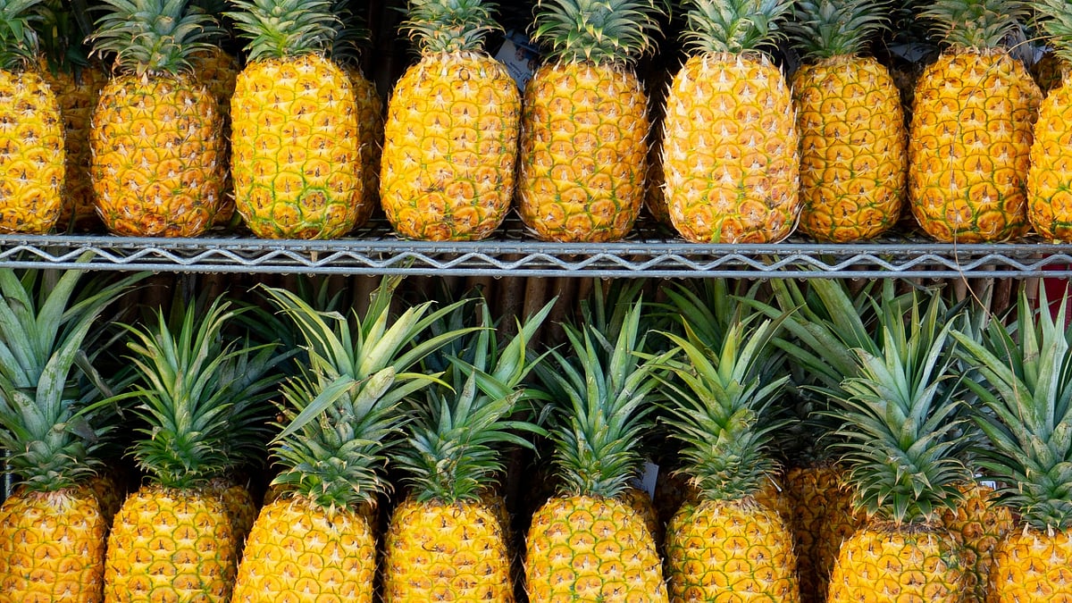 Why Pineapple Bites Back - The Science Behind the Sting
