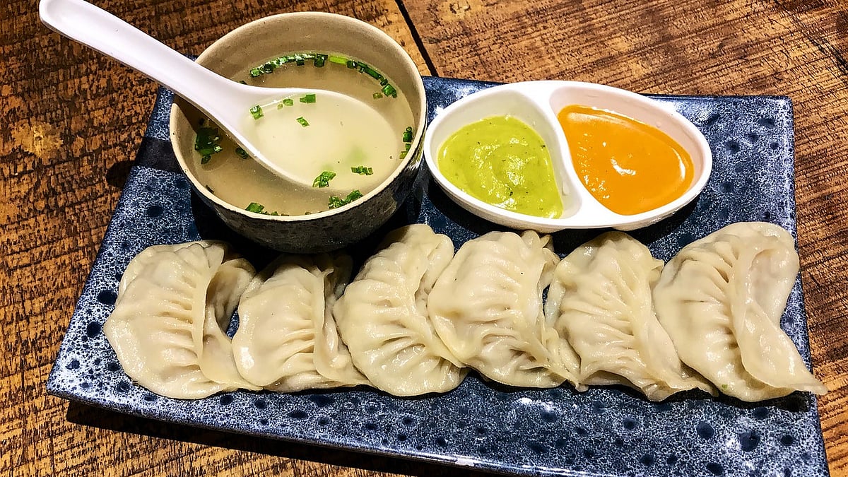 Punjab Momo Factory Raid Uncovers Severed Head of Dog in Fridge