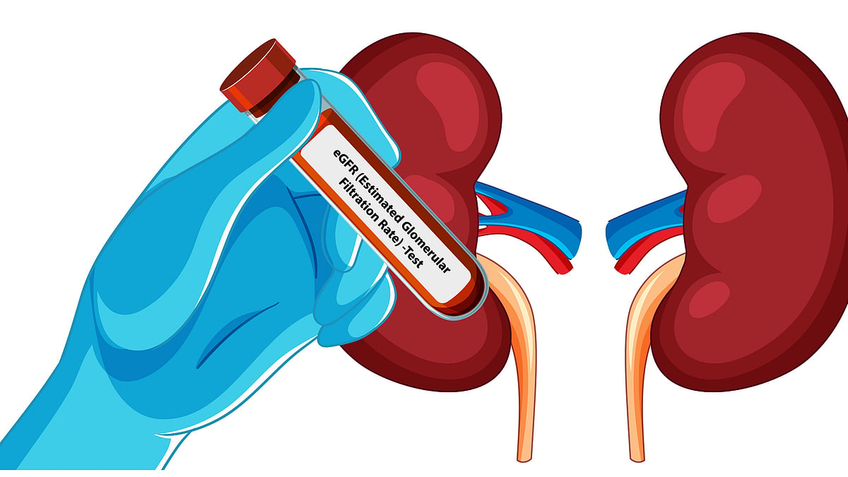 Understanding Chronic Kidney Disease: Slow Erosion of Kidney Function