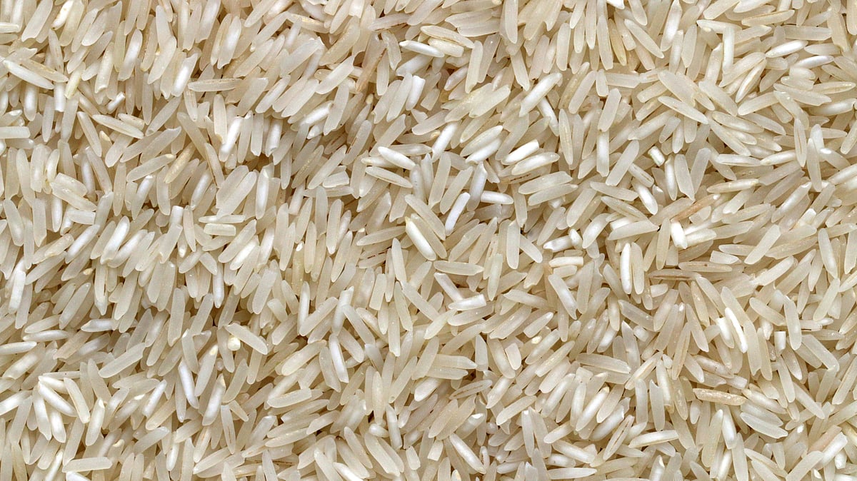 Over 100 U.S. Rice Brands Contaminated with Arsenic and Cadmium