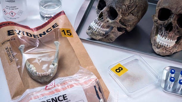 Forensic Odontology: Uncovering Identities Through Teeth