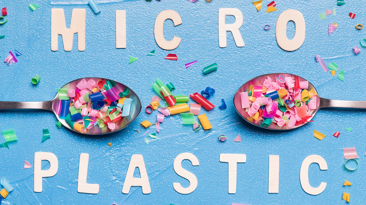 Microplastics in Soil: Silent Spreaders of Antibiotic Resistance