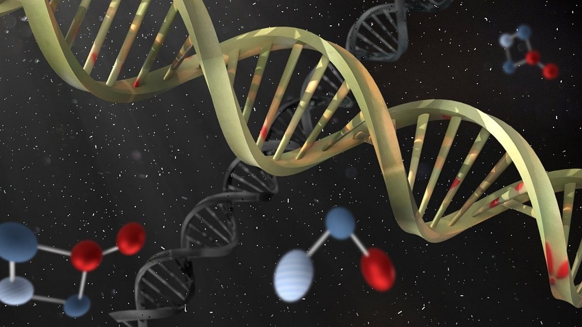 Gene Editing Treats Smooth Muscle Disease (MSMDS) in Preclinical Model