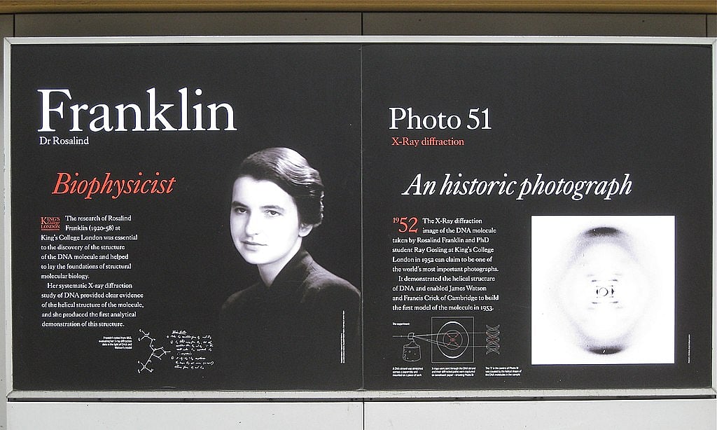 Rosalind Franklin: Honoring the Scientist Behind DNA Discovery