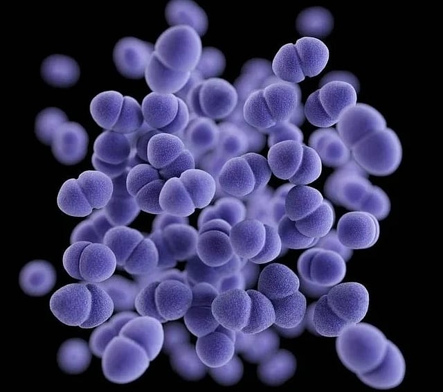 Top 10 Superbugs: Emerging Drug-Resistant Bacteria You Should Know