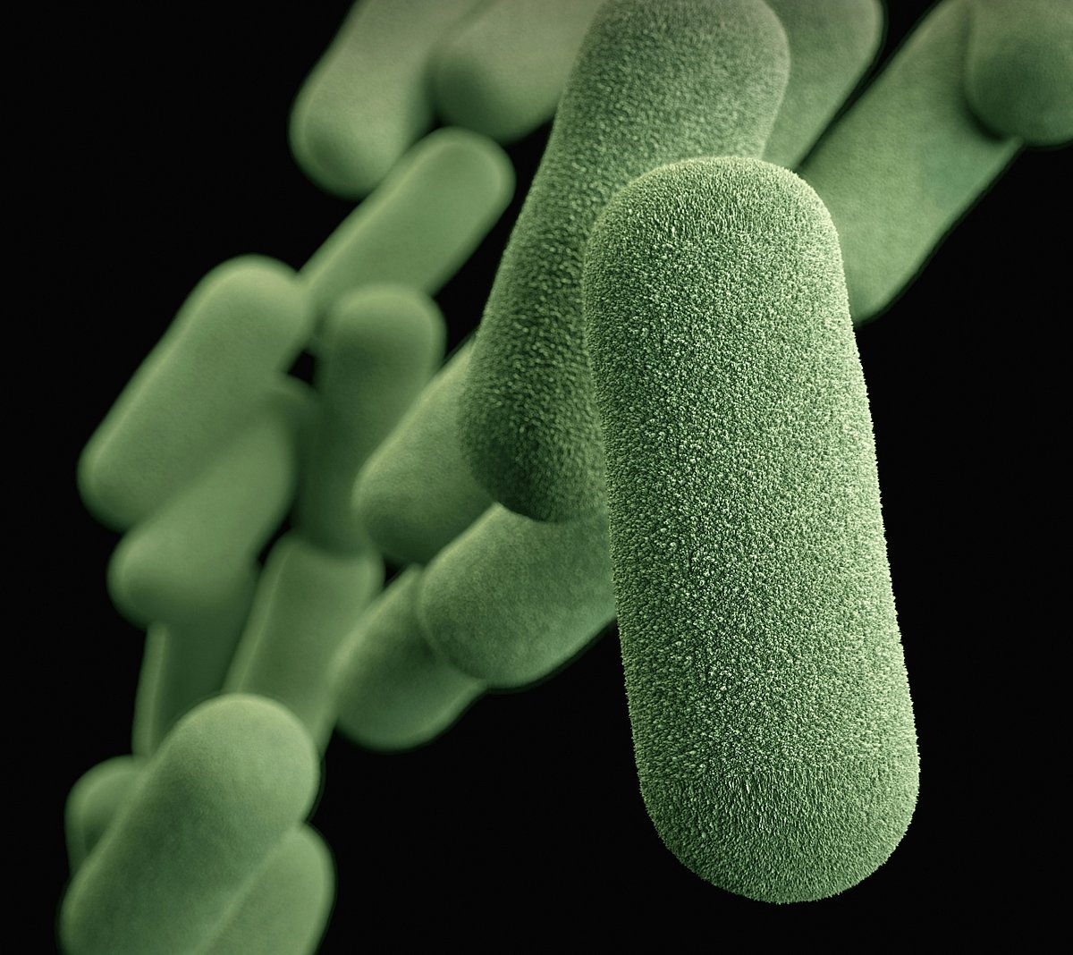 Top 10 Superbugs: Emerging Drug-Resistant Bacteria You Should Know