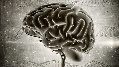 Semaglutide Fails to Slow Alzheimer’s in New Major Studies
