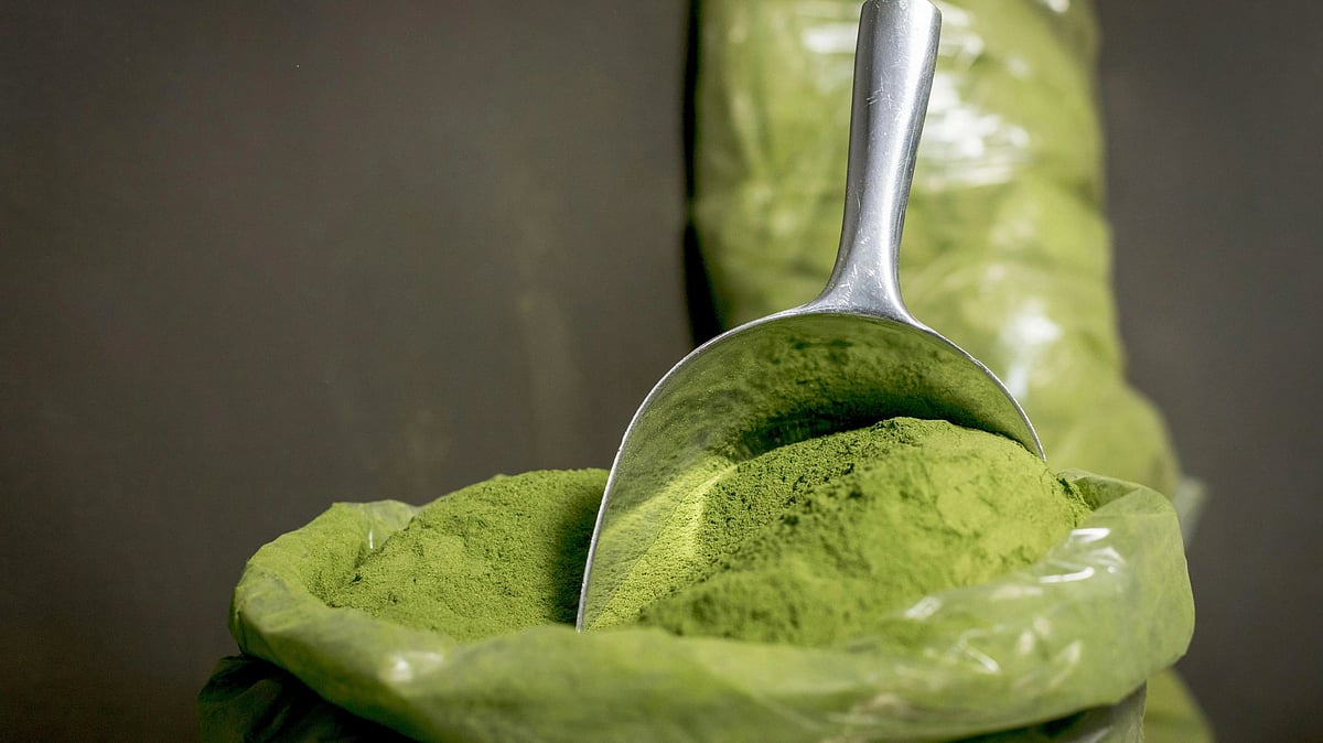 Salmonella Outbreak Linked to Super Greens Supplement in the U.S.