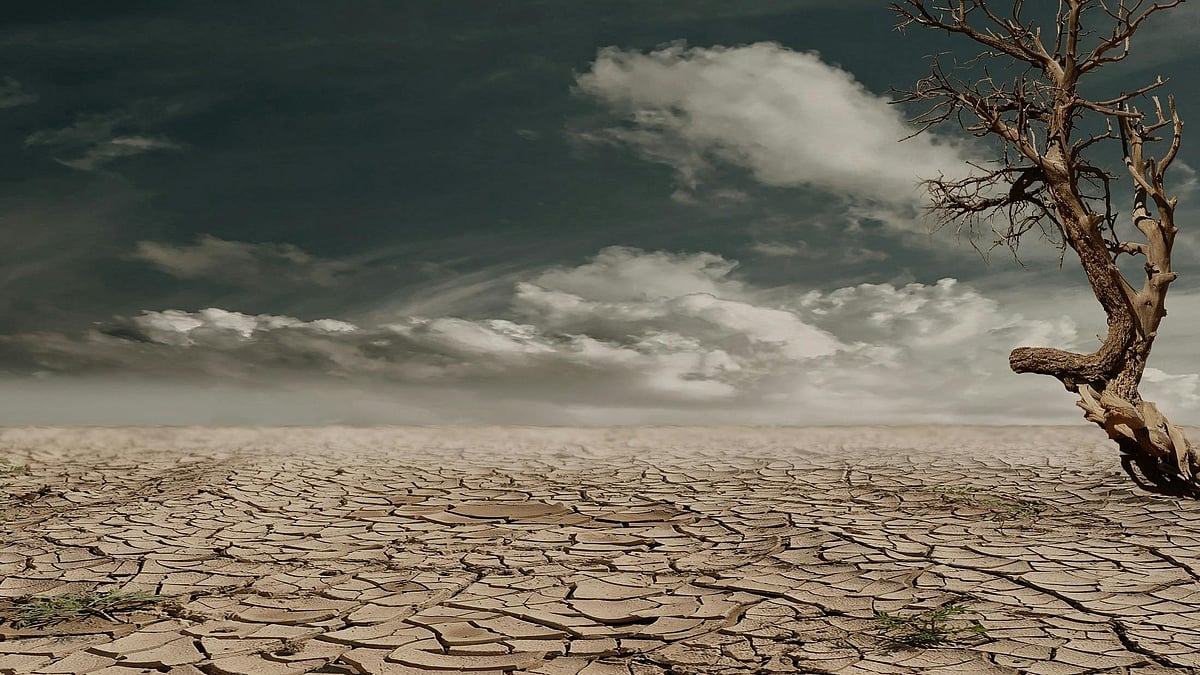 How Climate Change Is Altering Global Disease Patterns
