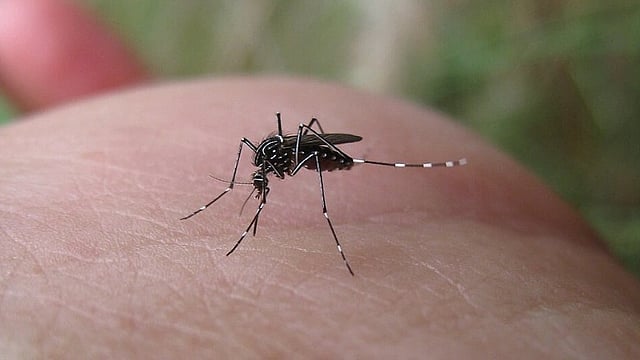 Jesse Lazear Yellow Fever Discovery Explained