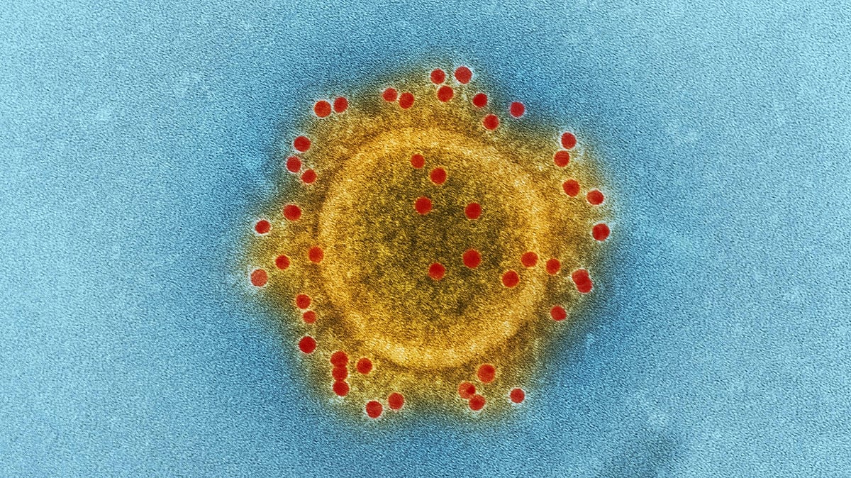 Decoding Biological Complexity