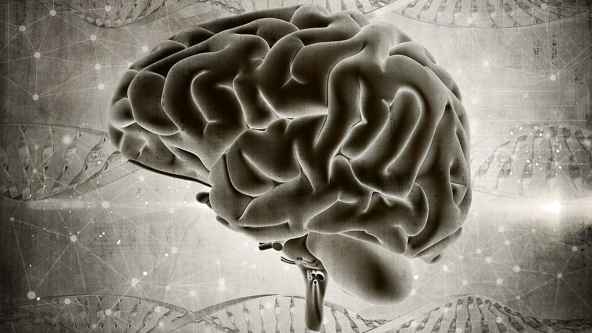 Genetic Risk in Addiction: How Brain Function Shapes Vulnerability