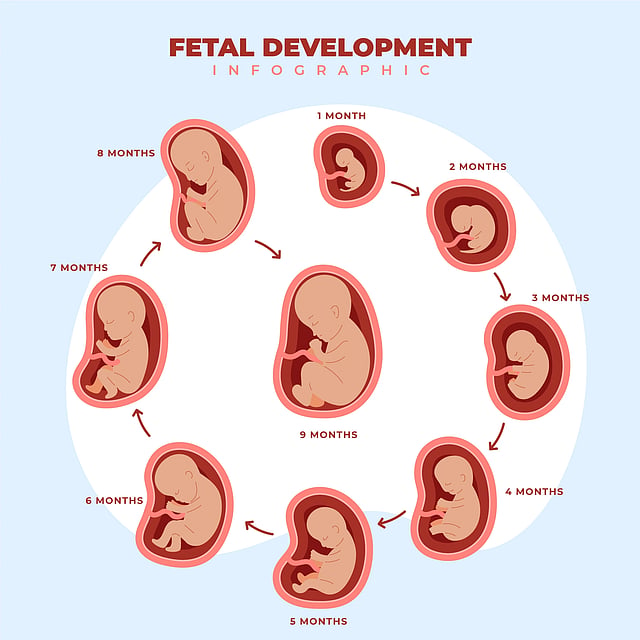 Pregnancy Tracking Apps in 2026: Features, Costs & Benefits