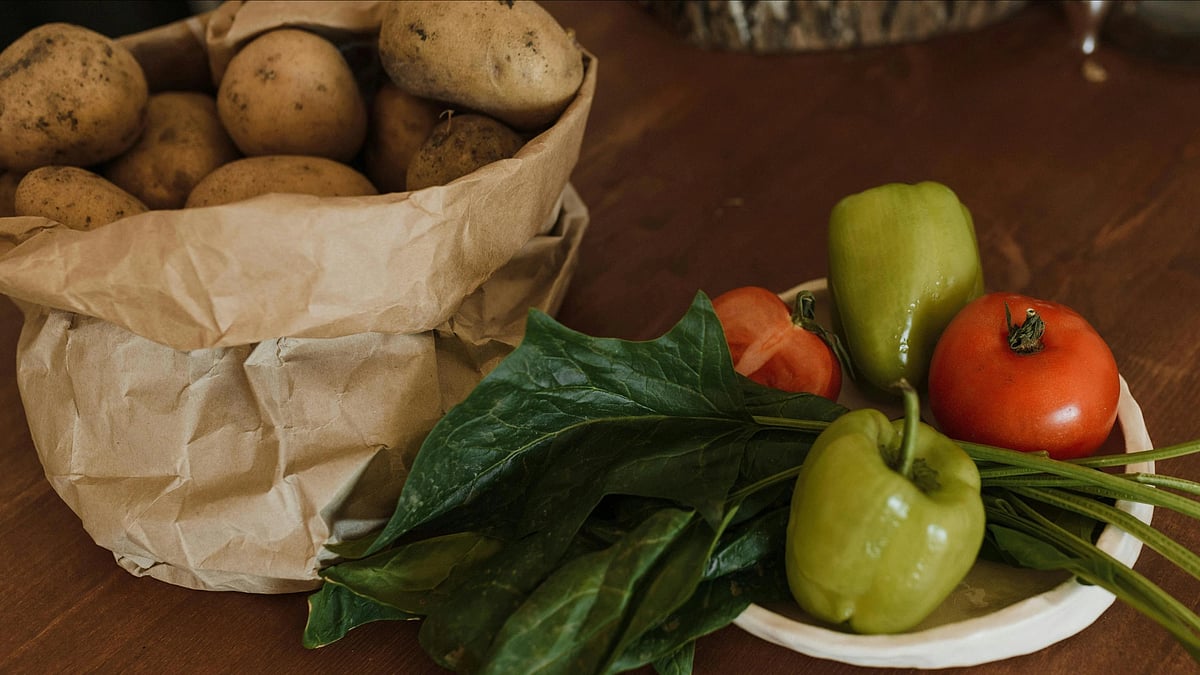 Toxic vs Safe Plants: How Humans Learned What to Eat