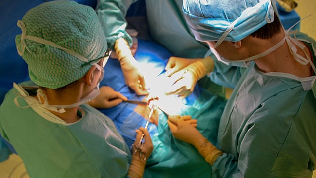 87-Year-Old Sheila Perry Gets Illinois Kidney Transplant