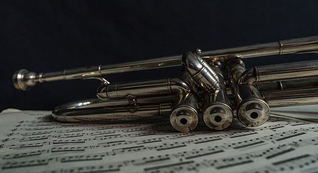 Meerut's Musical Marvels: A Tradition of Wind Instrument Excellence