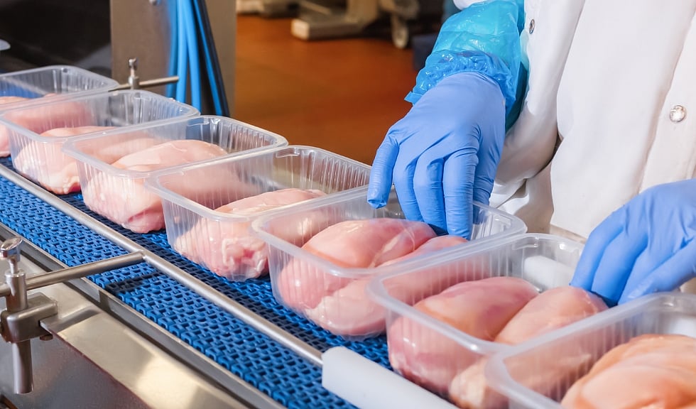 Kosher Lab-Grown Chicken Now Available Thanks to Israeli Startup