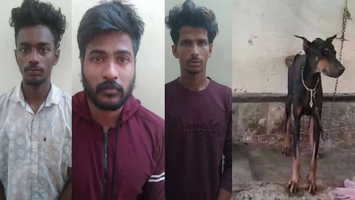 Trained to pounce at anything 'khaki': Cops face resistance from dogs ...