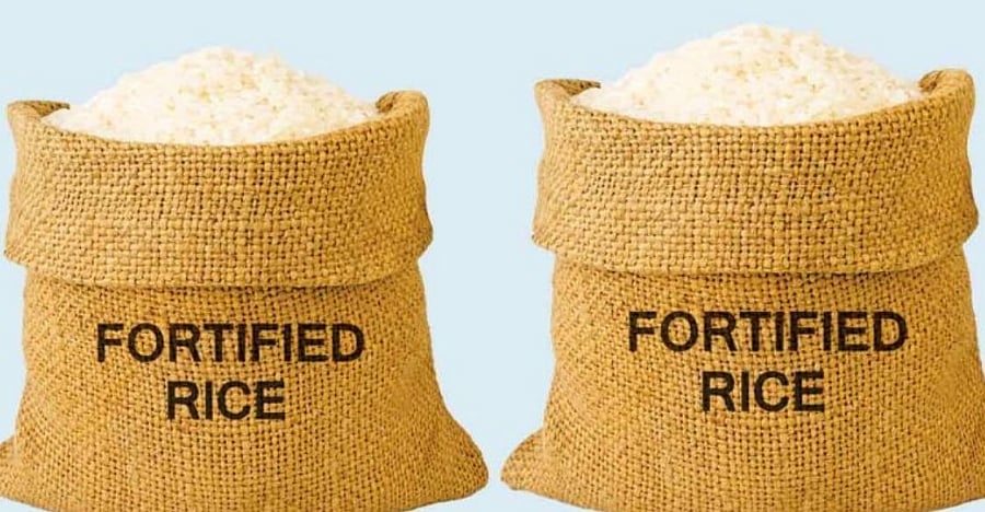Addressing Malnutrition in India: The Role of Fortified Rice Kernels (FRKs)