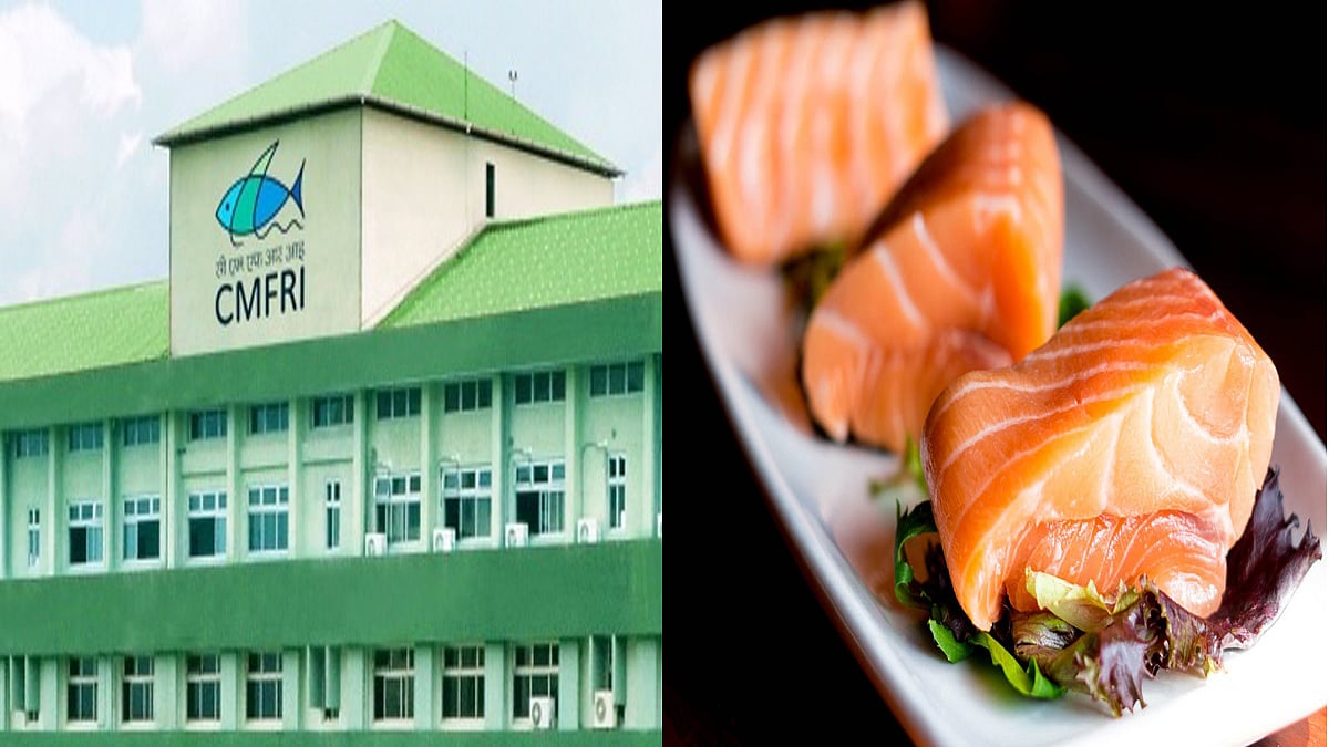 In a first in India, CMFRI to develop lab-grown fish meat