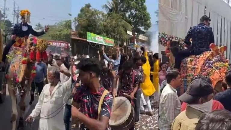 Groom's Camel Procession Causes Traffic Chaos in Kerala | Police Book ...