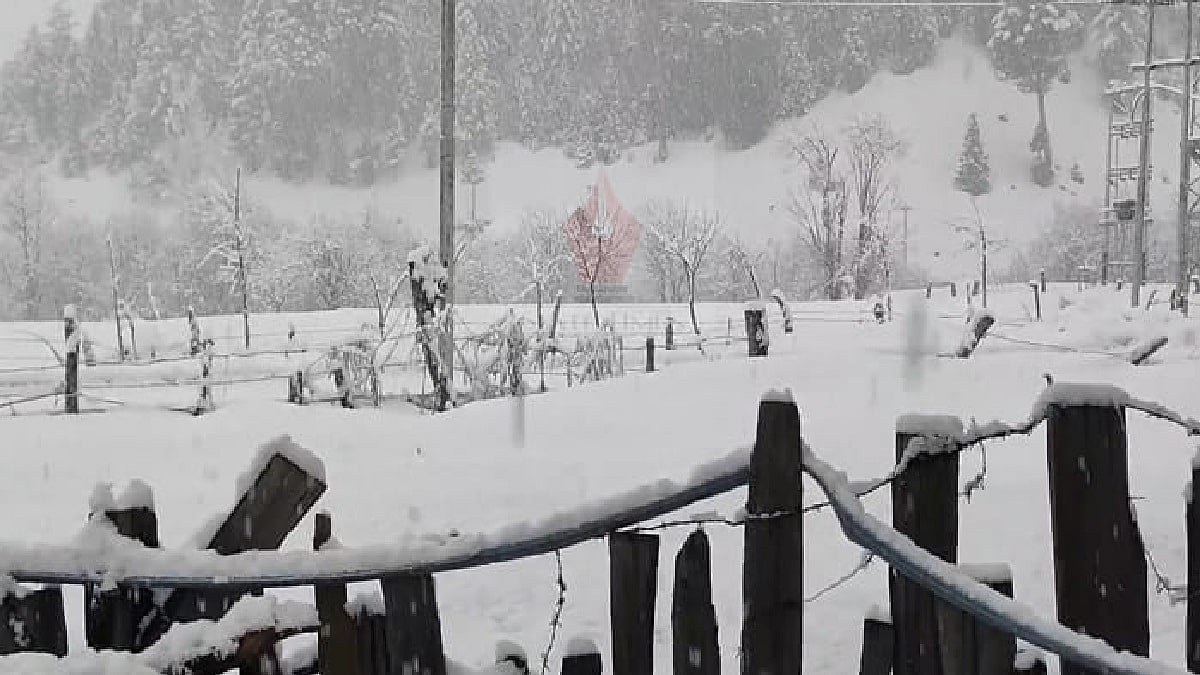 Srinagar Receives Second Winter Snowfall, Heavy Snowfall in Kashmir ...