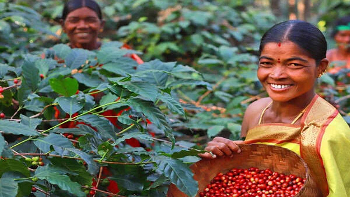 With spotlight on Araku Coffee, UN leaders hail India's 'Naari Shakti ...