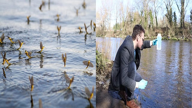 How DNA analysis of our rivers and lakes can reveal new secrets about ...