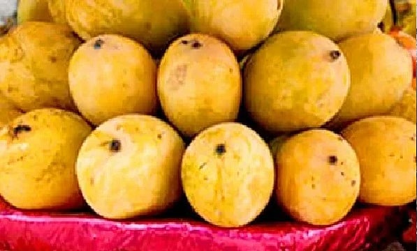 Bengal's Malda mango exports hit, sellers getting better prices in ...