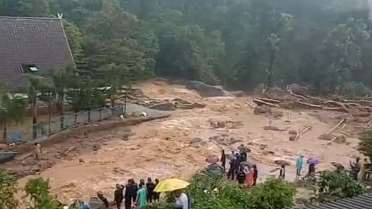 Wayanad landslides: Heavy engineering equipment, rescue dog teams ...