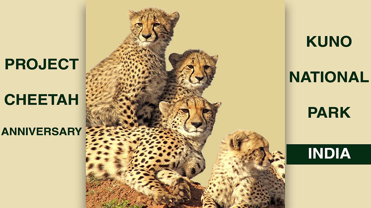 Asiatic Cheetah Vs African Cheetah Wildlife Conservation | Supreme