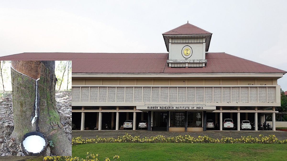 RRII develops high-quality rubber from skim latex