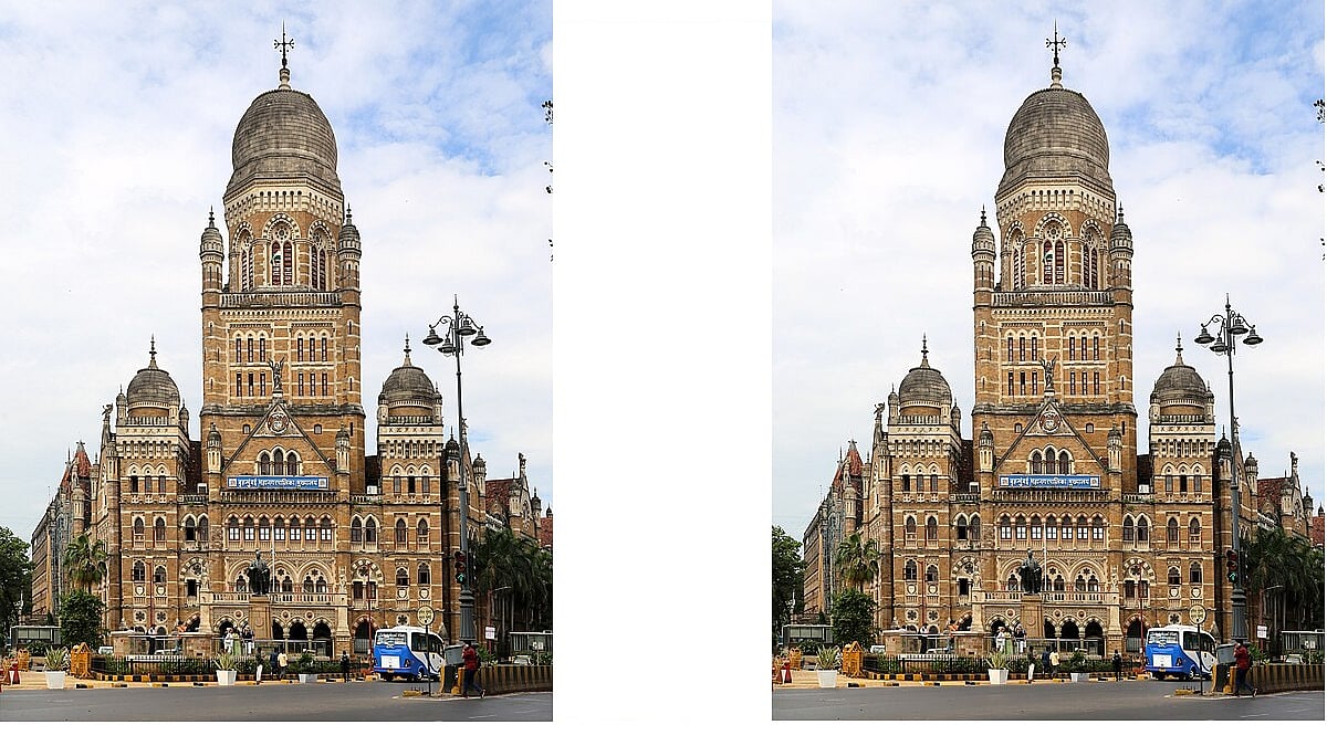 BMC elections: Voter photo ID card, 12 other identity proofs valid for ...