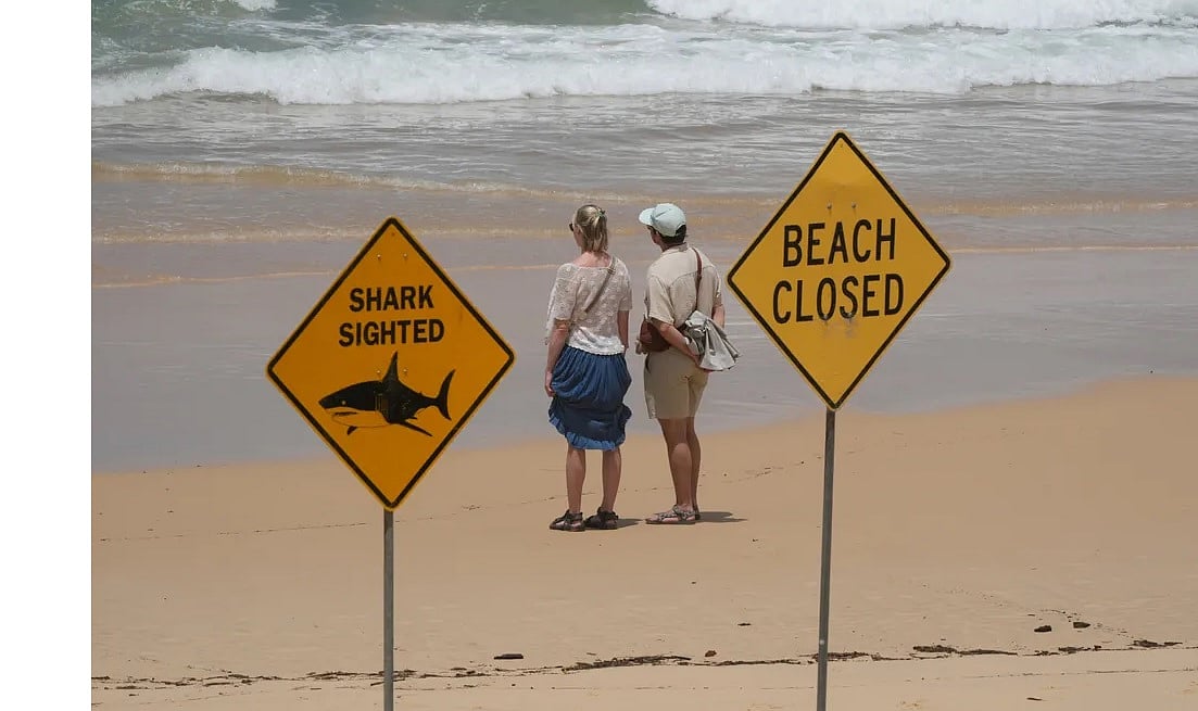 Surfer bitten in 4th shark attack off Australia's east coast in 3 days