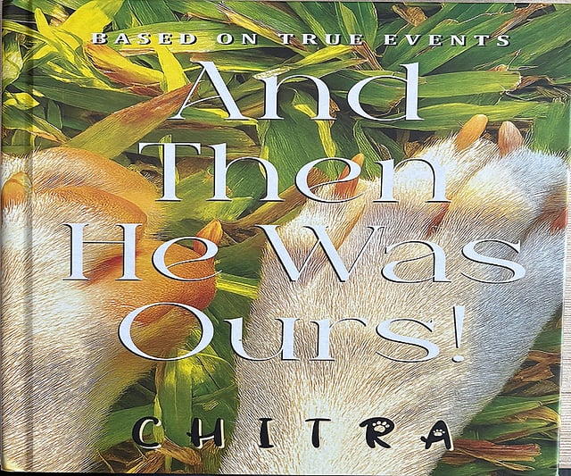 Book launch press release- And Then He Was Ours!, the debut book by ...