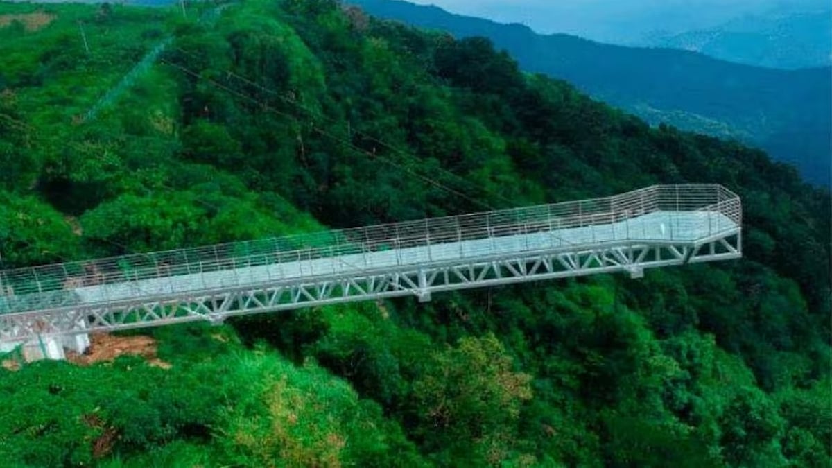 വാഗമൺ ചി ല്ലു പാ ലത്തിൽ കയറാനുള്ള ഫീസ് കുറച്ചു |Entry fees to Vagamon ...