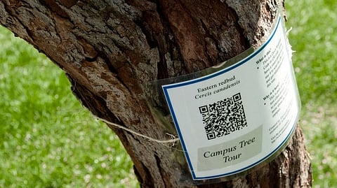 എംജി സർവകലാശാലയിലെ മരങ്ങളുടെ വിശദാംശങ്ങൾ അറിയാൻ ക്യുആർ കോഡ് | QR code ...