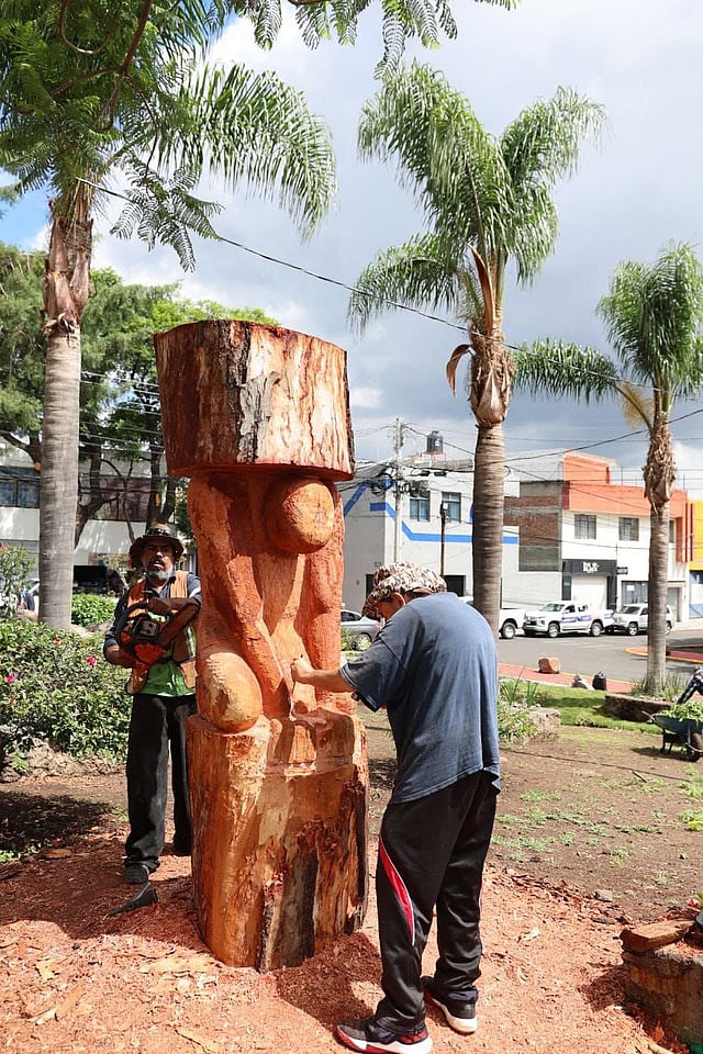 Morelia embellece sus áreas verdes: un esfuerzo municipal por el medio ...
