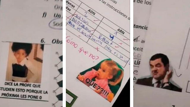 Maestra usa memes para calificar a sus alumnos; es viral