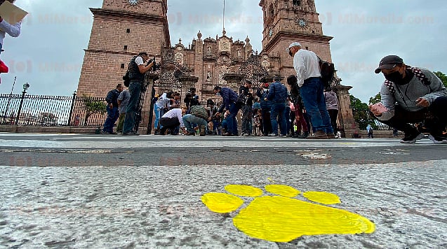 Pintan huellas de perritos en el Centro Histórico de Morelia